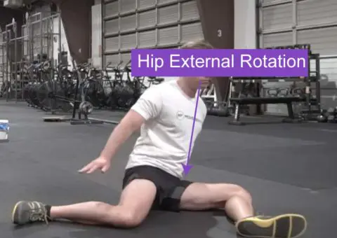 Ultimate Guide to Hip Mobility - Everything for your Hips - Movement Fix