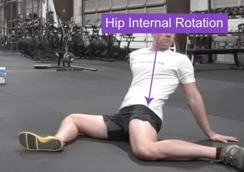 Ultimate Guide to Hip Mobility - Everything for your Hips - Movement Fix